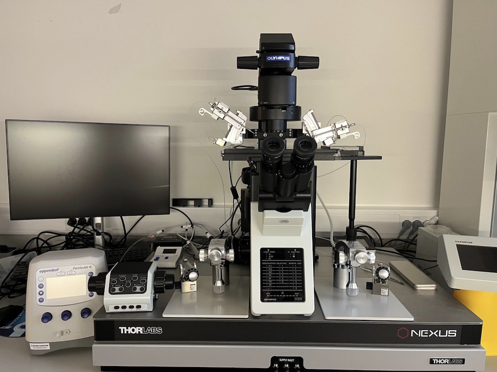 OUH - Microinjection microscopy