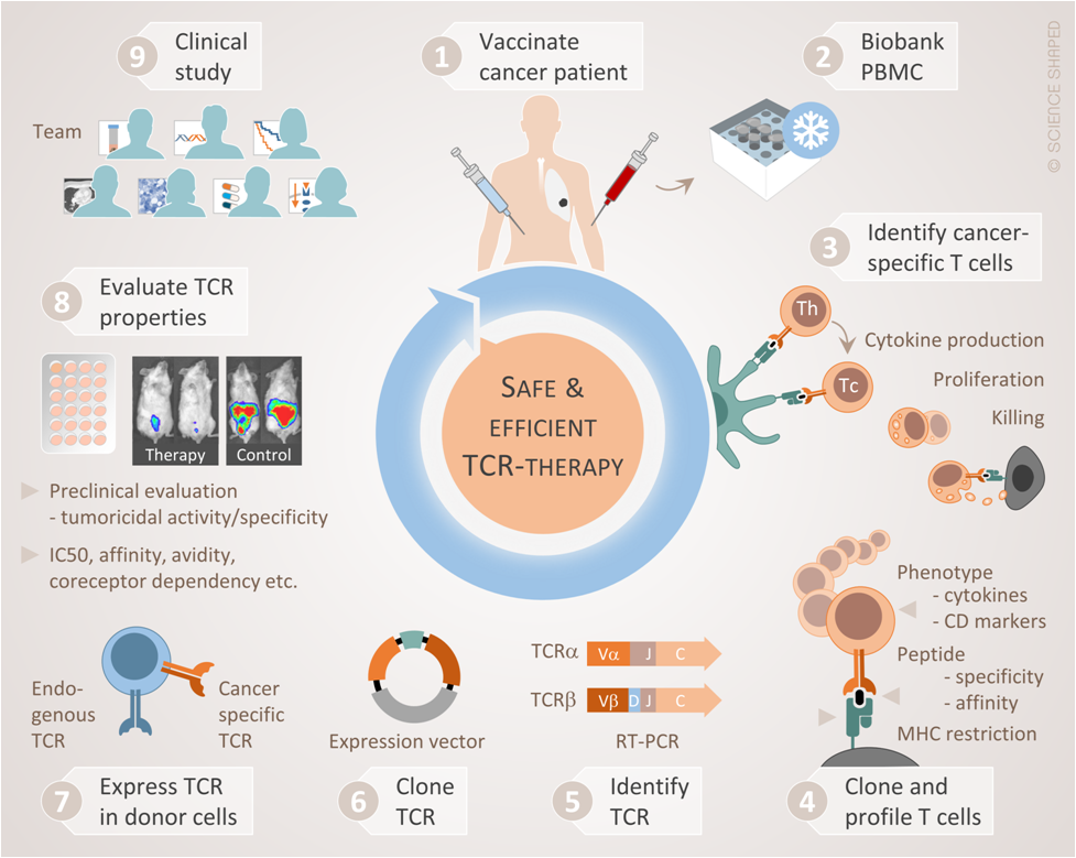 OUH - Cellular therapy