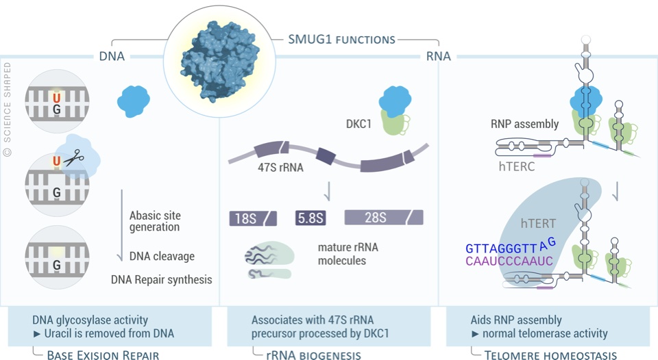 OUH - Current projects