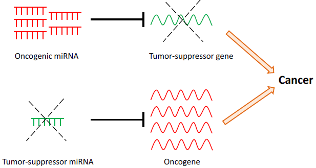 OUH - Cancer Genome Variation