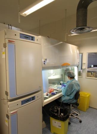 The Norwegian Center for Stem Cell Research